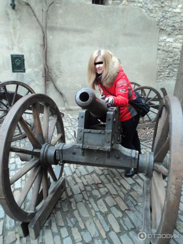 Отзыв о Краска для волос Matrix | Натуральный цвет без желтизны